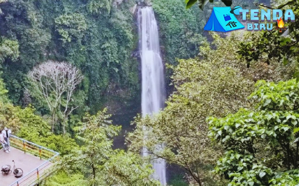 Curug Cimahi: Keindahan Alam Tersembunyi yang Bikin Terpukau